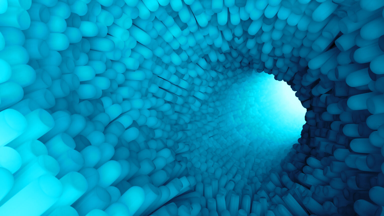 Plug and Play’s Insider Interview by Nimble Science’ Co-Founder Sabina ...