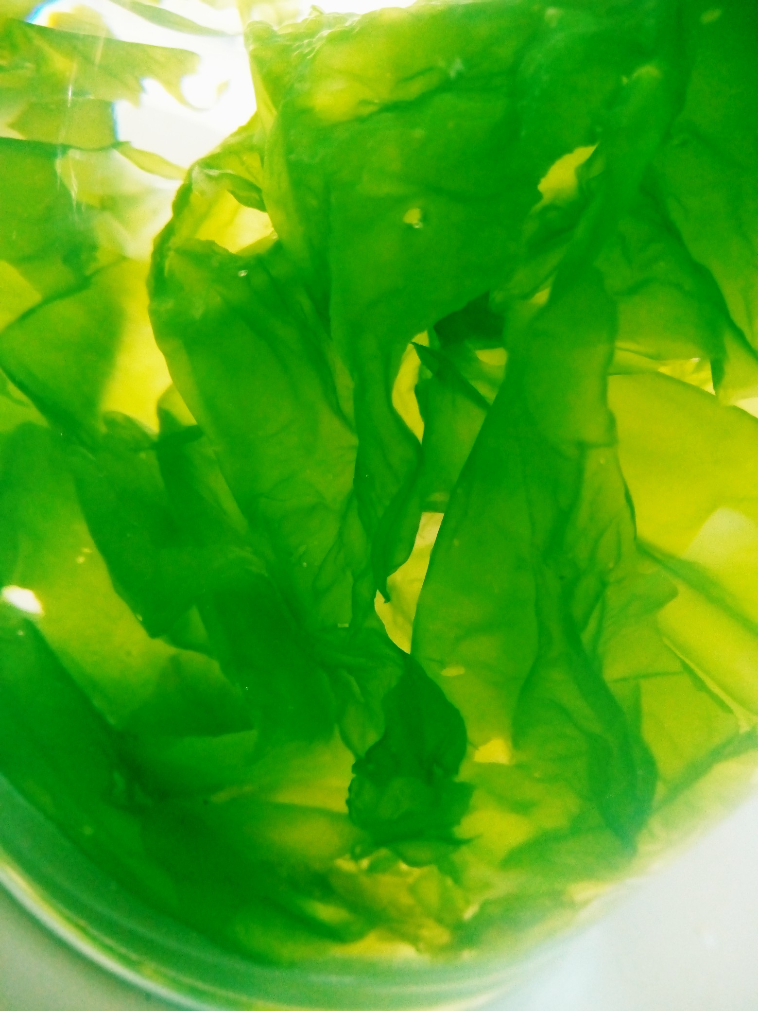 CleanTech Open’s Insider Review by SeaH4’s Co-Founder Johannes ...