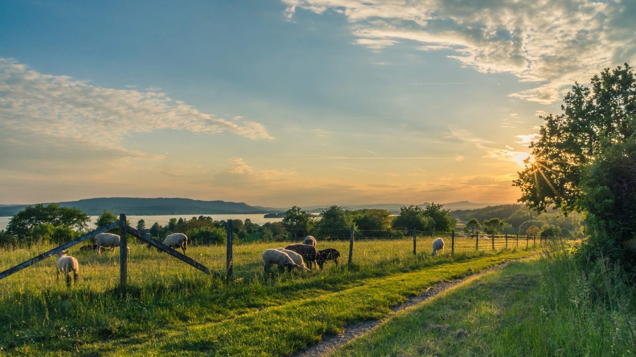 CleanTech Open’s Insider Review by Vortrex’s CEO & Founder Mike Hermel - GrowthMentor